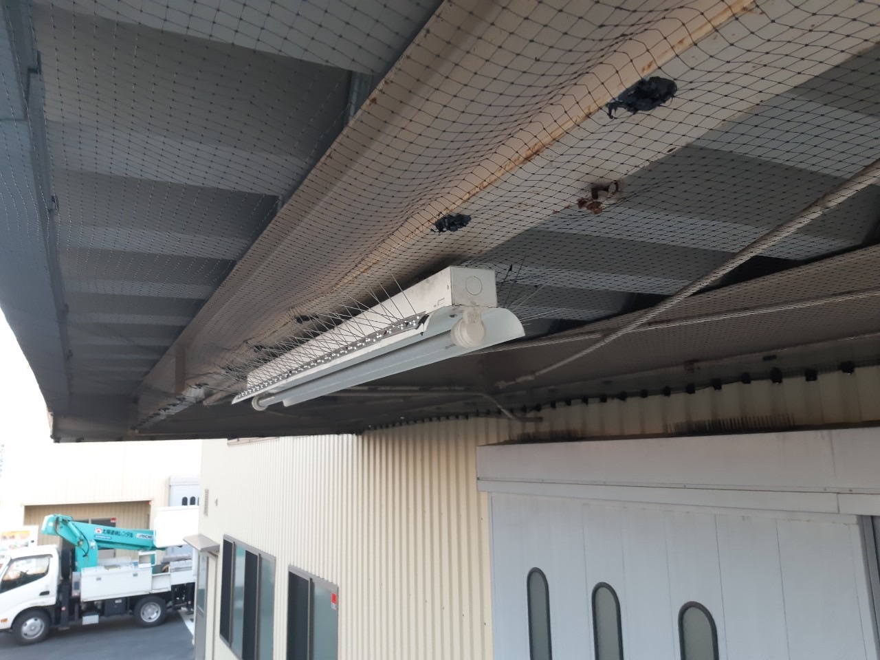 Hatoyoke Jp Column 2024 01 18 E7 8f Be E5 A0 B4 E5 86 99